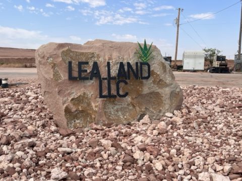 www.lealandllc.com | Lea Land, LLC Landfill